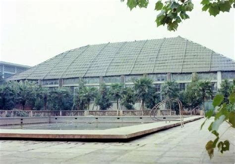 奋斗七十载 史忆新湖南丨1980·郴州基地正式成为全国十大体育训练基地之一：见证女排腾飞 深读湖南 湖南在线 华声在线