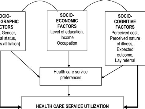 A Conceptual Framework Of Health Seeking Behaviour Download