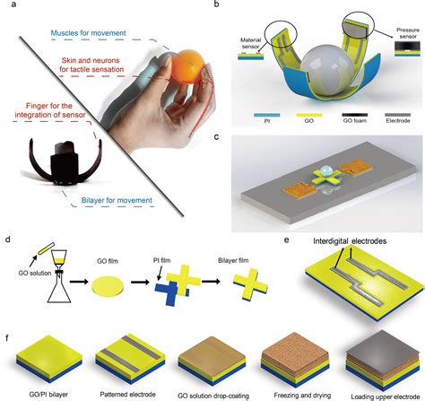 A Wireless Janus” Soft Gripper With Multiple Tactile Sensors Nanoscale Advances Rsc