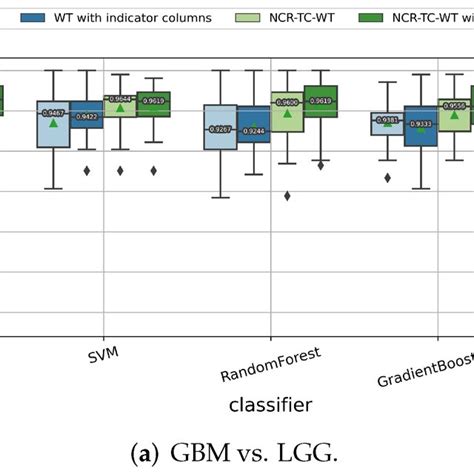 Impact Of Different Feature Extraction Strategies On Predicting A