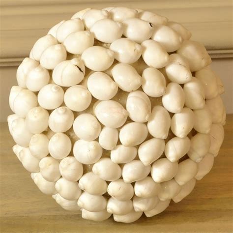 Large Conch Shell Decorative Ball Conch Shell Decorative Ball