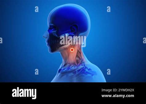Ear Pressure Stock Videos And Footage Hd And 4k Video Clips Alamy
