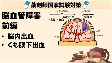 【第10回】脳血管障害前編！！薬を投与する目的を理解しよう💊「脳内出血」と「くも膜下出血」を解説【薬剤師国家試験】 Youtube