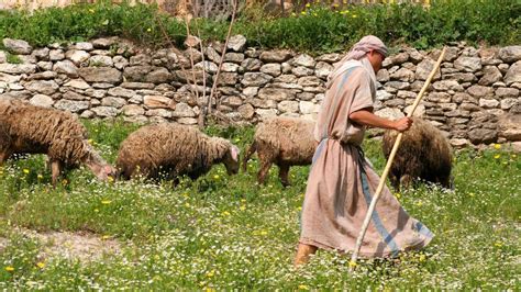The Origins Of Christmas Was Yeshua Really Born On December 25th