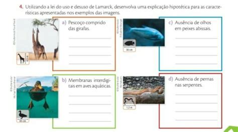 4 Utilizando A Lei Do Uso E Desuso De Lamarck Desenvolva Uma