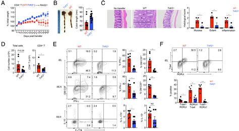 TNF Plays A Crucial Role In Inflammation By Signaling Via T Cell TNFR2
