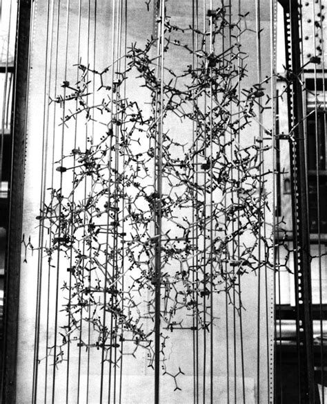 Skeletal Model Of The Structure Of The Protein Lysozyme Attached To A