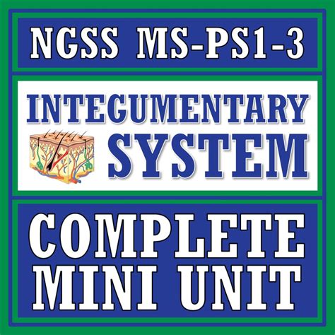 Complete Skin And Integumentary System Unit Flying Colors Science