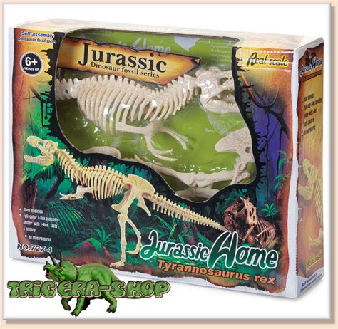 Large T Rex Tyrannosaur Dinosaur Fossil Set Model Bnib Great