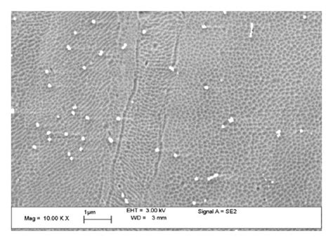 sem micrographs with two magnifications showing the microstructure of