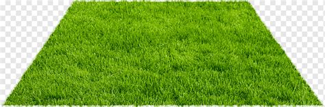 Relvado Artificial Forragem Para Gramado JARDIN Art Photo Studio