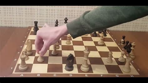 С такой Сильной ЛОВУШКОЙ вы можете выиграть любого шахматиста Шахматы ловушки Youtube