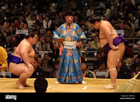 Sumo Wrestling Rules Japan At Patrice Hassinger Blog