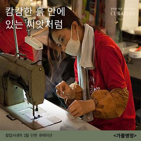 팝업시네마 공동체상영과 다양성영화 2024년 2월 단편 리스트를 소개합니다 🫘 캄캄한 흙 안에 있는 씨앗처럼 🎬