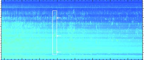 Solar Radio Spikes Observed By The Cso Spectrograph At Metric