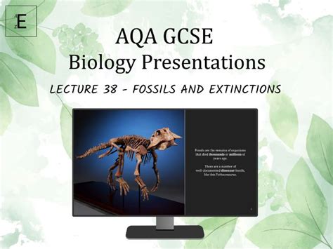 AQA GCSE Biology Lecture 38 Fossils And Extinctions Teaching Resources