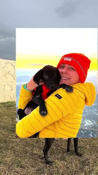 იღბლიანი ქუჩის ძაღლის ისტორია ️ Youtube