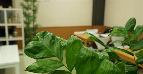フロントエンドエンジニア募集！虐待発見サービス開発に共感してくださる方！ 株式会社ステッピング・ハウプのwebエンジニアの採用