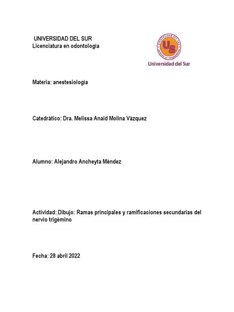 Dibujo Nervio Trigemino Pdf Arte Ciencia Y Matemáticas