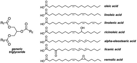 Triglyceride Structure Diagram