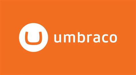 Umbraco Hosting Guide Elevate Your CMS Experience Blog Stablepoint