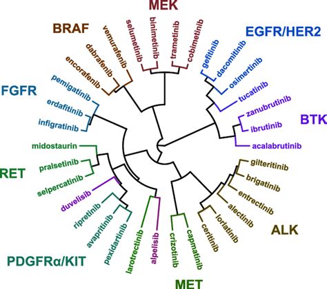 Hierarchical Clustering Based On The Ic 50 Fingerprints Of 21 Recently Download Scientific