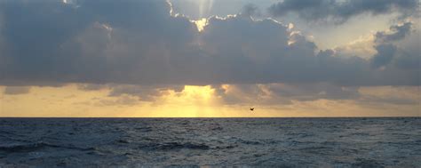 Noaa Updates Sea Surface Temperature Dataset National Centers For