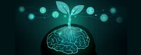 Resilient Brain Model And Self Havening Workshops