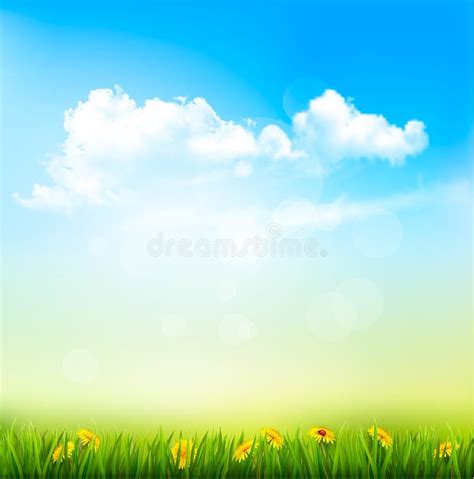 Spring Nature Background With A Green Grass And Blue Sky Stock Vector