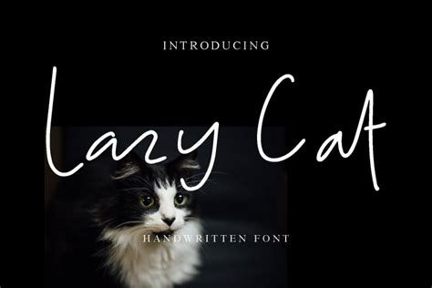 Lazy Cat Script Handwritten Font Alphartype