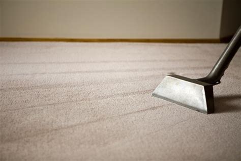 Dry Carpet Cleaning Vs Steam Cleaning Pros And Cons HGTV