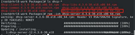 Redhat Linux 8中网络配置192168010的子网掩码 Csdn博客