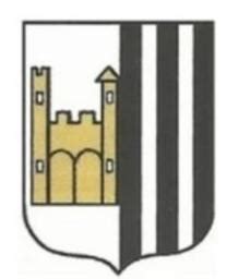 Ascoli Logo History