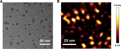 Sequence Controlled Heterolayered Lanthanide Complex Dendritic Architectures Constructed From