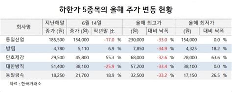 분석 동일산업 등 하한가 5개 종목 3일 주식매매 재개되면