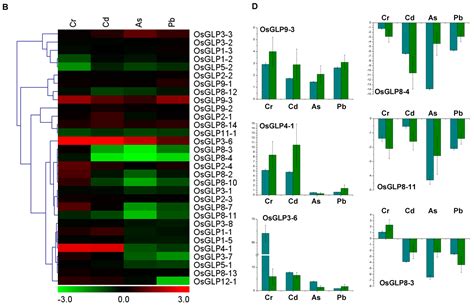 Ijms Free Full Text Genome Wide Characterization And Expression