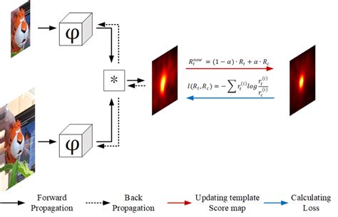 Framework Of Online Training For Siamfc Network Download Scientific