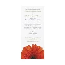 LOTS Of Gerbera Daisy Invites