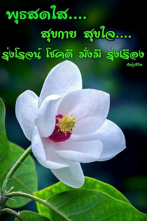 Pin On Good Morning Flower Garden Pictures Trendy Flowers Flower