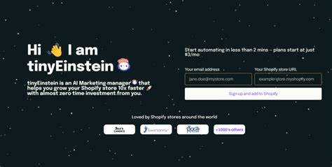 TinyEinstein IA Que Automatiza Marketing En Shopify 2024 Vive Virtual