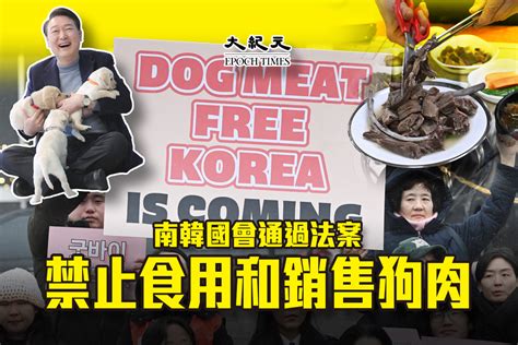 南韓國會通過法案 禁止食用和銷售狗肉｜大紀元時報 香港｜獨立敢言的良心媒體
