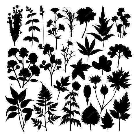 Premium Vector Plants Silhouettes Vector Images