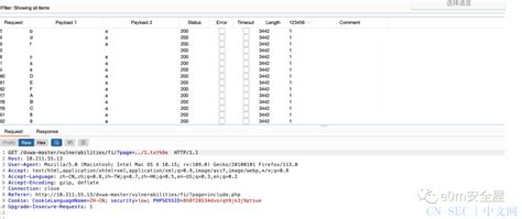 Waf绕过 Cn Sec 中文网