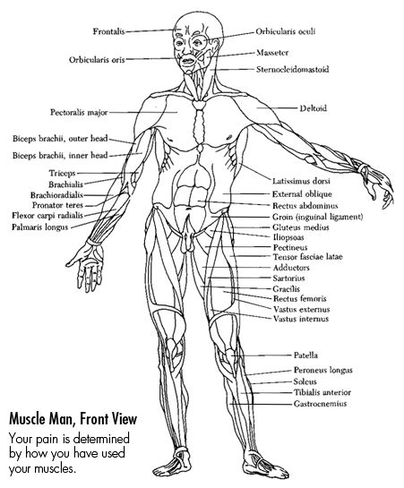 Sartorius Trigger Points
