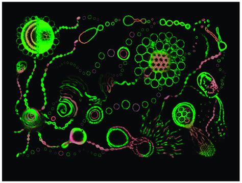 Mechanism Of Disassembly Of Large Dendrimersomes By Photocleavage And