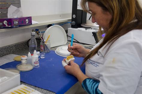 Nuevo laboratorio dental en el Centro Odontológico Municipal