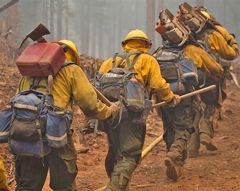 Wildfire Management Ask A Biologist