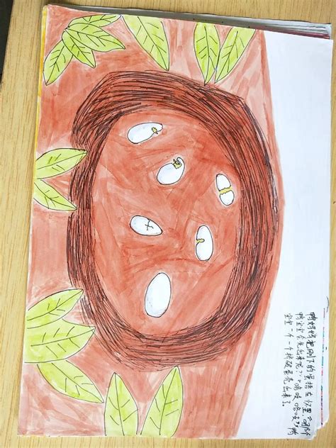 丑小鸭的故事简笔画图片20张 几塔之家