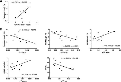 Correlation Analysis Between Cardiac Function Parameters Cardiac