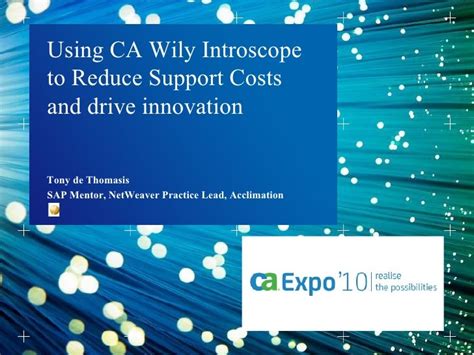 Wily Introscope At The Ca Expo 2010